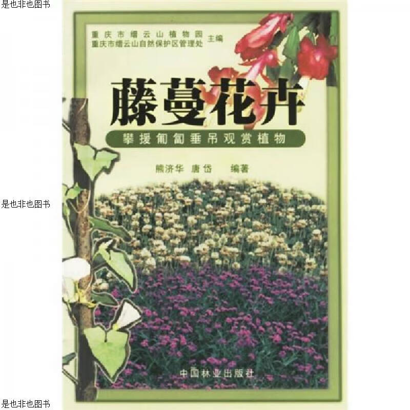 藤蔓花卉