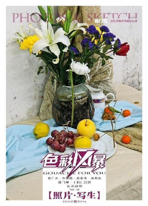 色彩风暴 照片·写生 李家友 编【书】