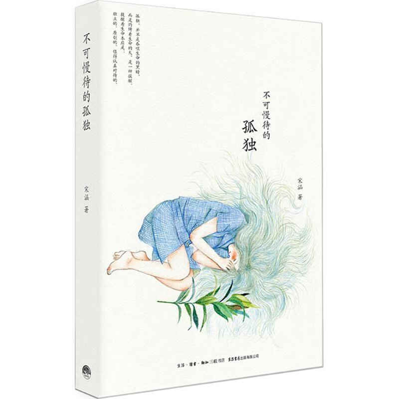 宋涵不可慢待的孤独 宋涵【书】