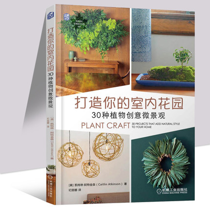 打造你的室内花园：30种植物创意微景观
