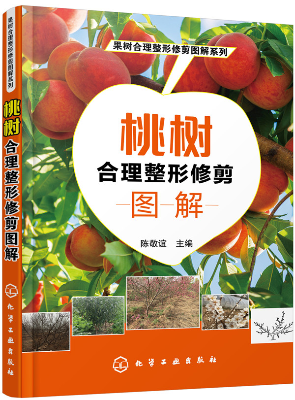 桃树合理整形修剪图解 书籍分类 农业 林业 农作物