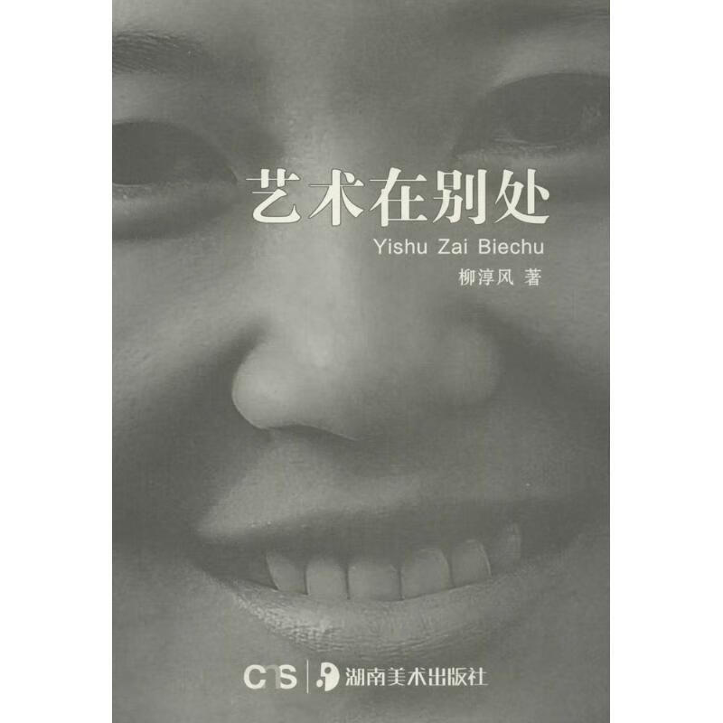 艺术在别处 柳淳风 著