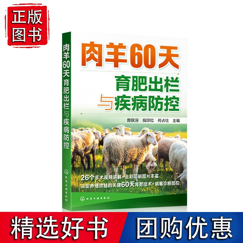 肉羊60天育肥出栏与疾病防控