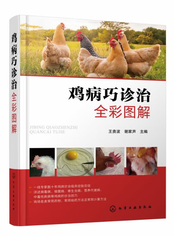 鸡病巧诊治全彩图解(精)