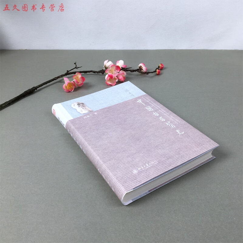 北大版 中国哲学简史 冯友兰著 涂又光译 北京大学出版社 中国哲学史教程 大学哲学教材 中国哲学教科书籍大