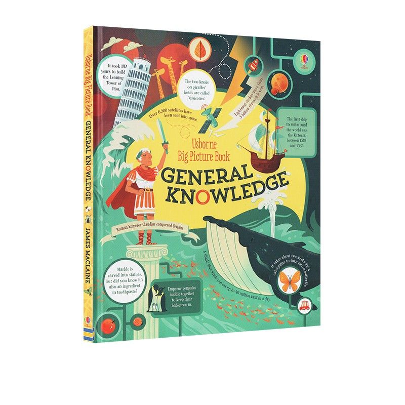 英文 Usborne Big Book 精装大开本 儿童数字单字启蒙图画辞典 子趣味互动游戏绘本 General Knowledge