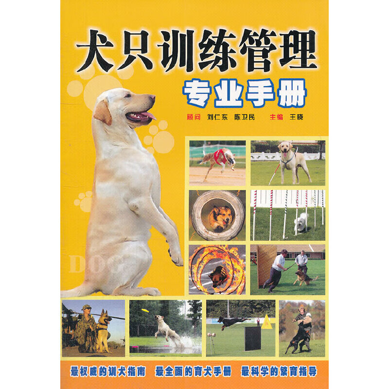犬只管理专业
