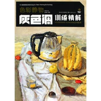 色彩静物灰色调训练精解 沈逸樵 著