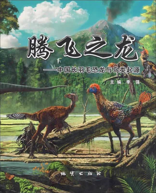 腾飞之龙