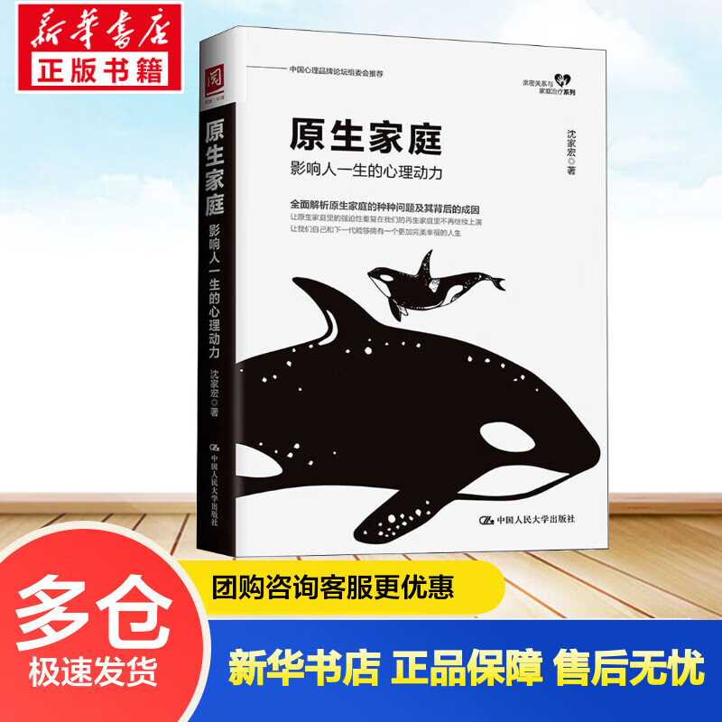 原生家庭:影响人一生的心理动力 沈家宏  书籍