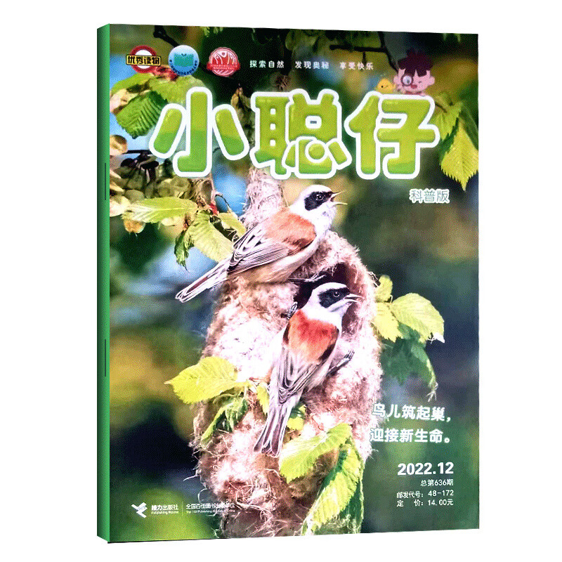 小聪仔科普版【单本】2023年6月2～8岁幼儿科普期刊（1.2.3.4.5.6月）非过刊 小聪仔科普版2022年12月