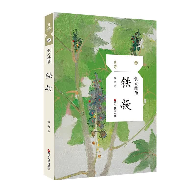铁凝作品系列 铁凝散文+无雨之城+ 大浴女+笨花+玫瑰门+隐匿的大师 铁凝散文集小说集精选集现当代文学书籍全集 散文精读·铁凝
