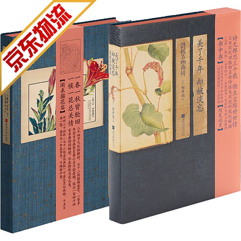 【系列自选】 美了千年却被淡忘(套装全2册)