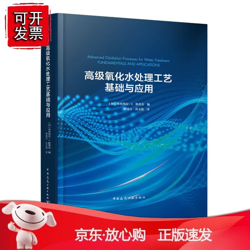 氧化水处理工艺基础与应用