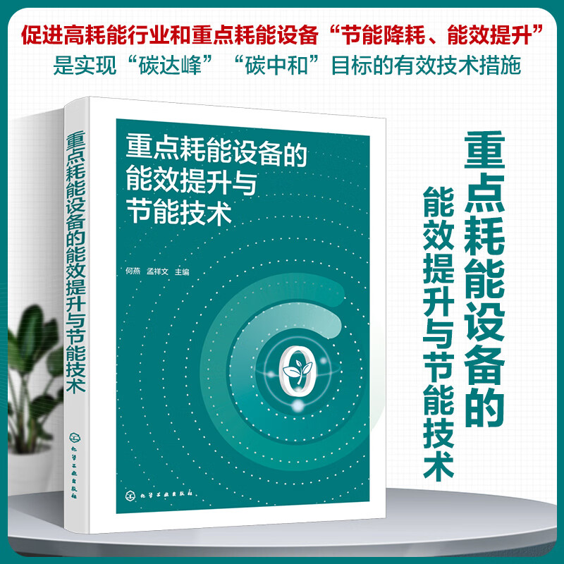 重点耗能设备的能效提升与节能技术 何燕 耗能设备节能技术能效 高校过程装备与控制工程专业学生教材 节能服务体系工作人员阅读