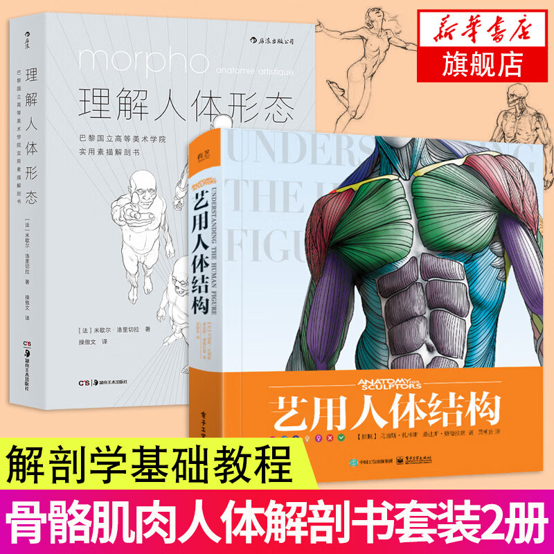 艺用表情结构+艺用人体结构 精装版全彩理解人体形态 人体面部表情结构教学书籍