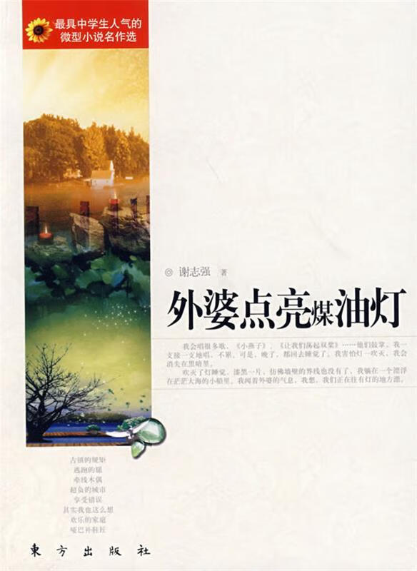 外婆点亮煤油灯 谢志强 著 东方出版社