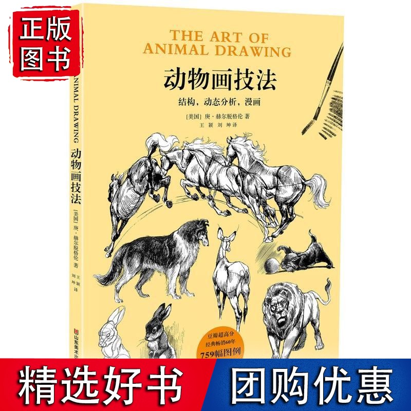 动物画技法