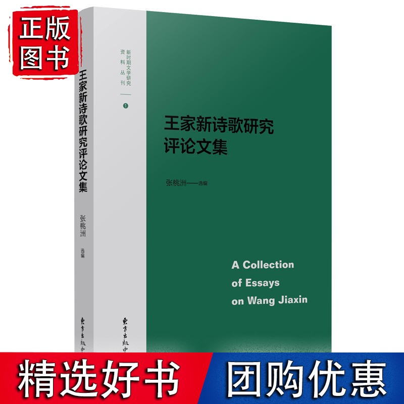 家新诗歌研究评论文集