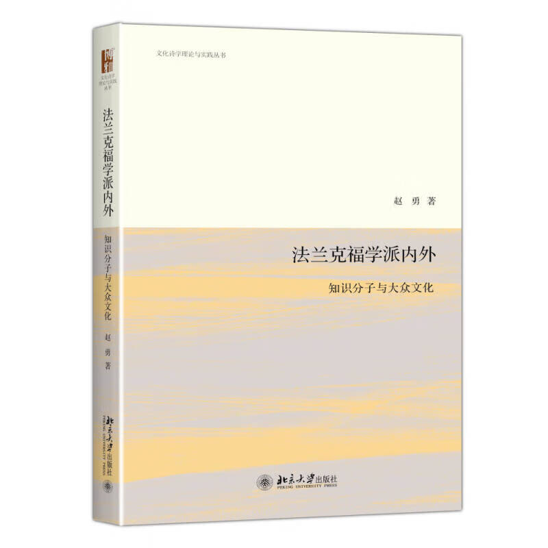 法兰克福学派内外 知识分子与大众文化【好书】