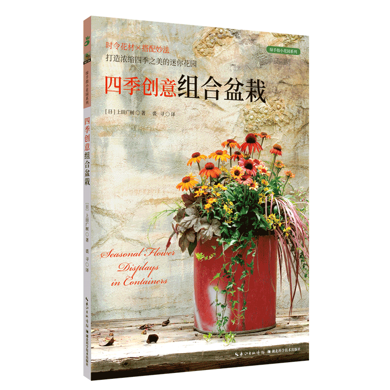 四季创意组合盆栽/绿手指小花园系列
