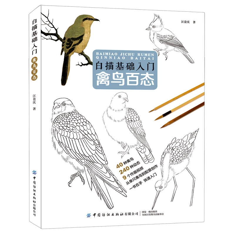 白描基础入门(禽鸟百态)