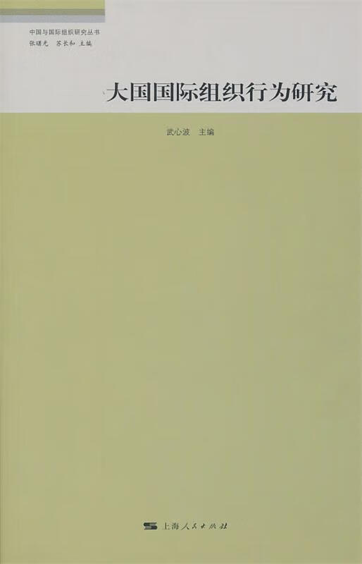 大国国际组织行为研究