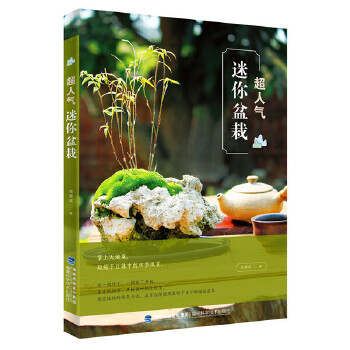 超人气迷你盆栽