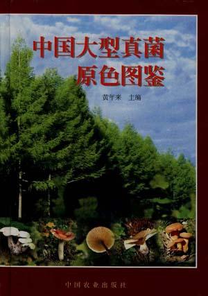 中国大型真菌原色图鉴 黄年来【书】