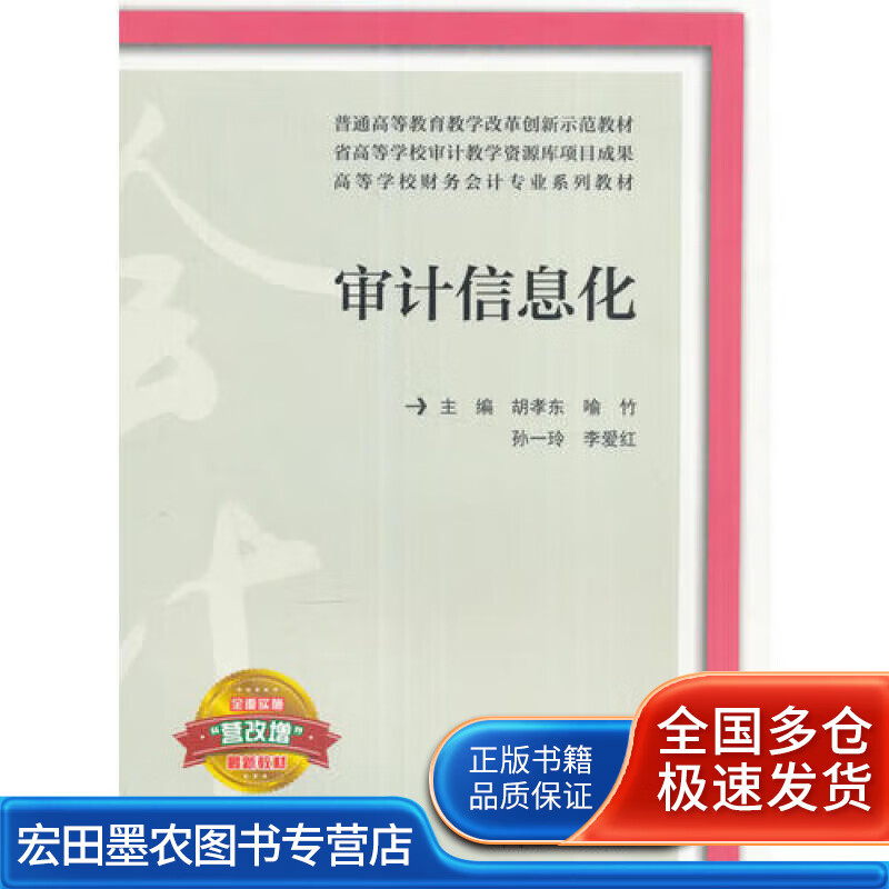 审计信息化【好书】
