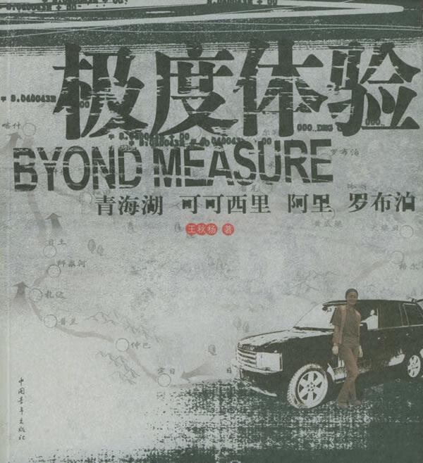极度体验 王秋杨 著