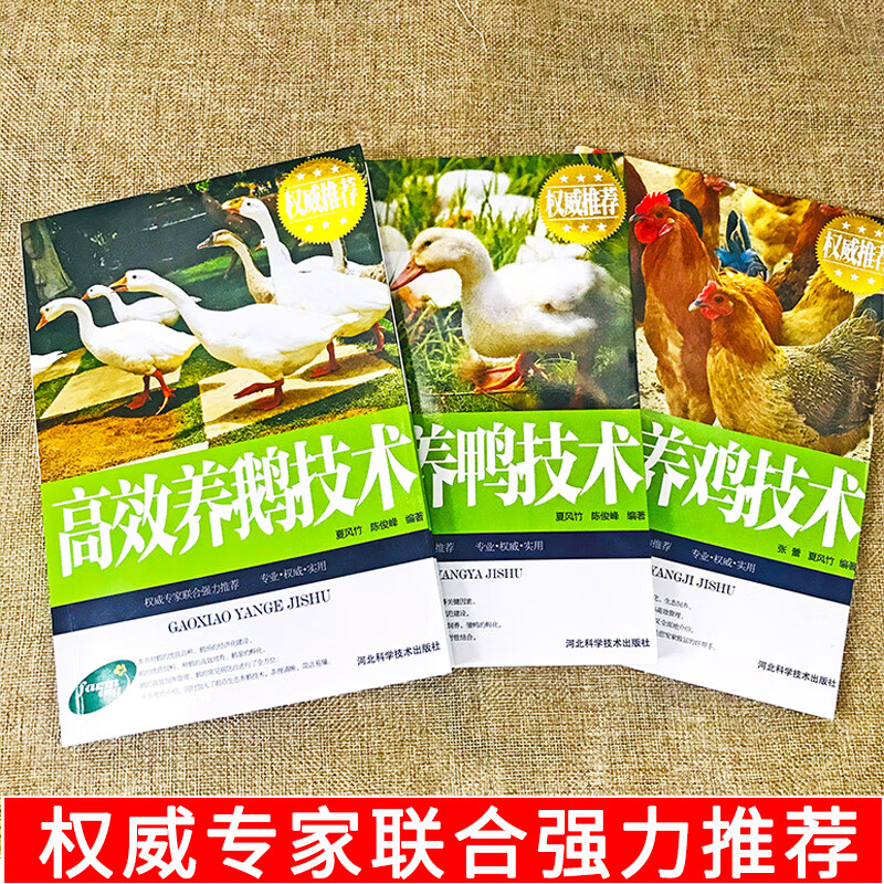 3册高效鸡鸭鹅养殖技术饲料配方大全技术及用药鸡病快速鉴别诊断图谱防治实用手册畜牧家禽养殖动物医学专业