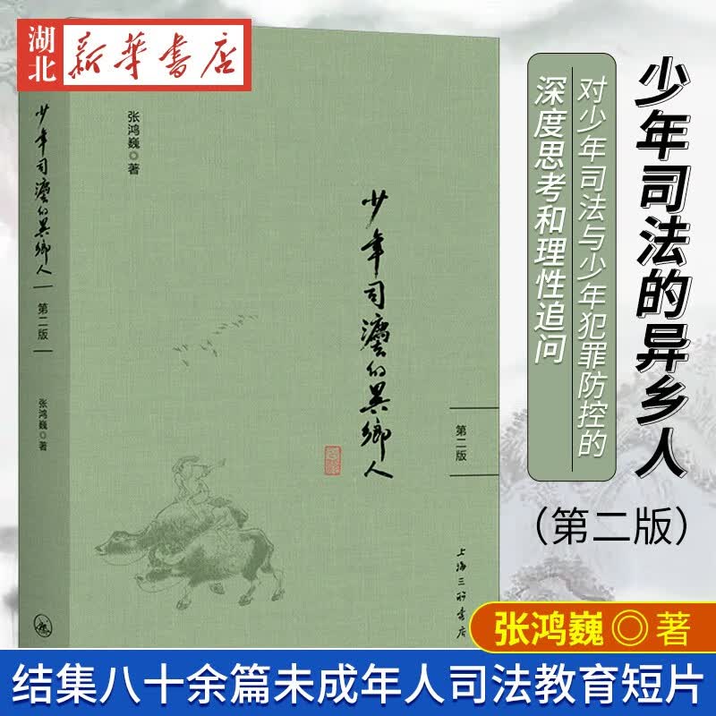 少年司法的异乡人(第2版)