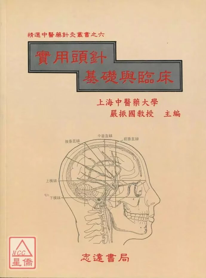 实用头针基础与临床  严振国 志远