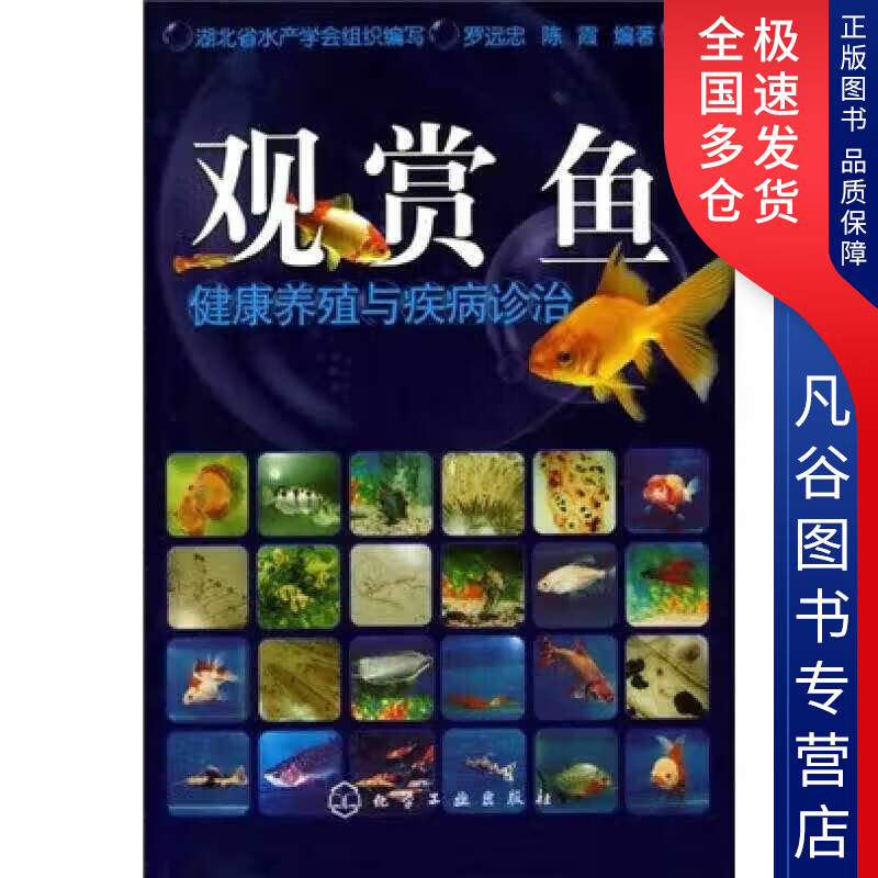观赏鱼健康养殖与疾病诊治