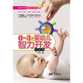 0-3岁婴幼儿智力开发大宝典