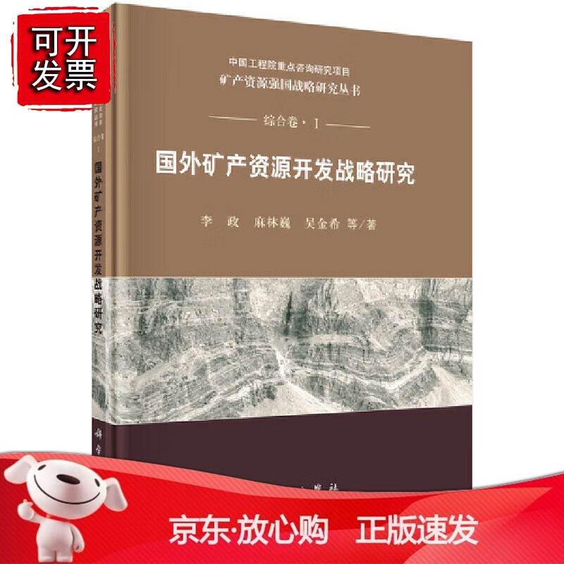 国外矿产资源开发战略研究