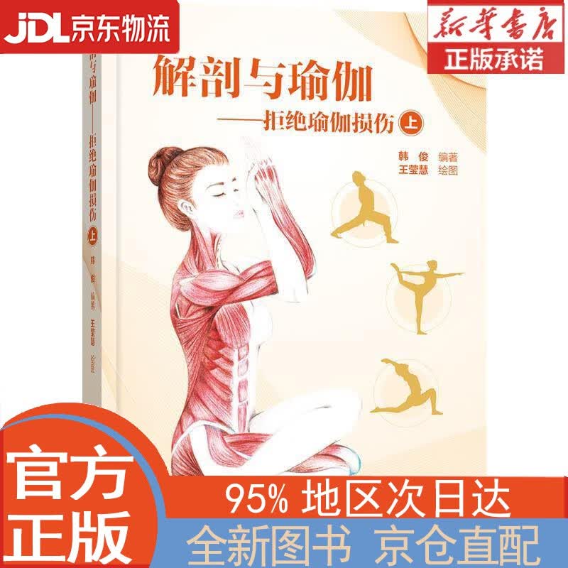 【全新畅销书籍】解剖与瑜伽：拒绝瑜伽损伤（上） 韩俊 辽宁科学技术出版社