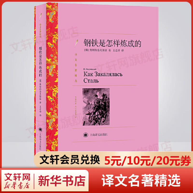 钢铁是怎样炼成的 王志冲译 译文名著精选 上海译文出版社 初中八年级下册语文推荐阅读丛书