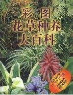 彩图花草种养大百科〈精装〉