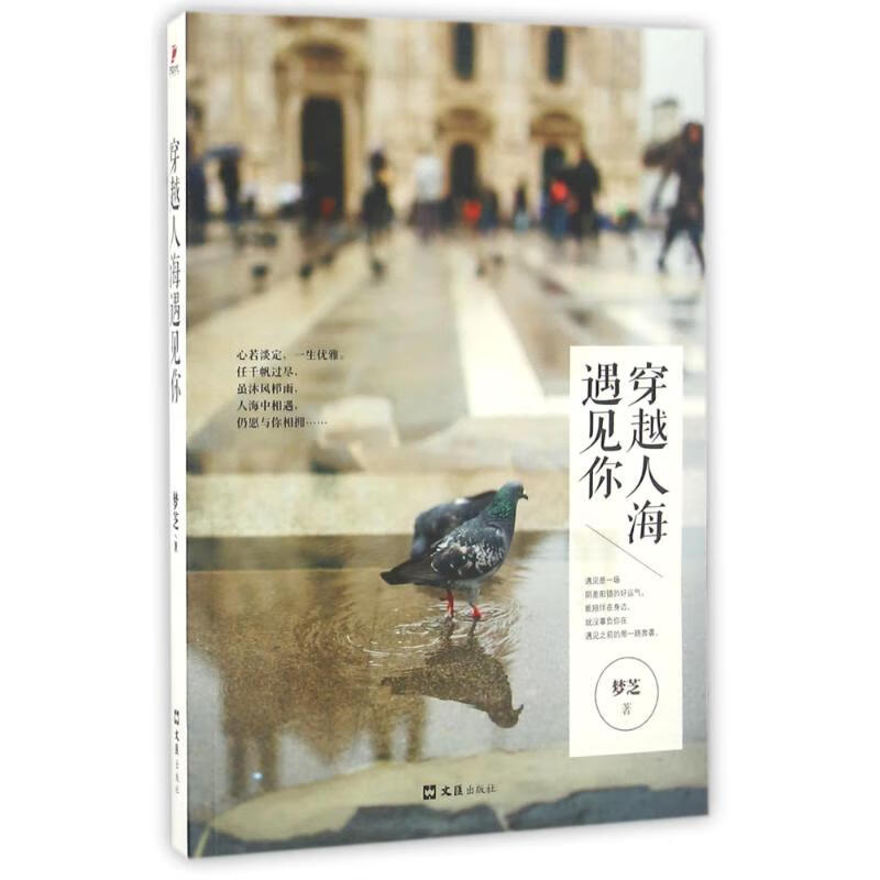 穿越人海遇见你 梦芝 励志与成功/名人励志