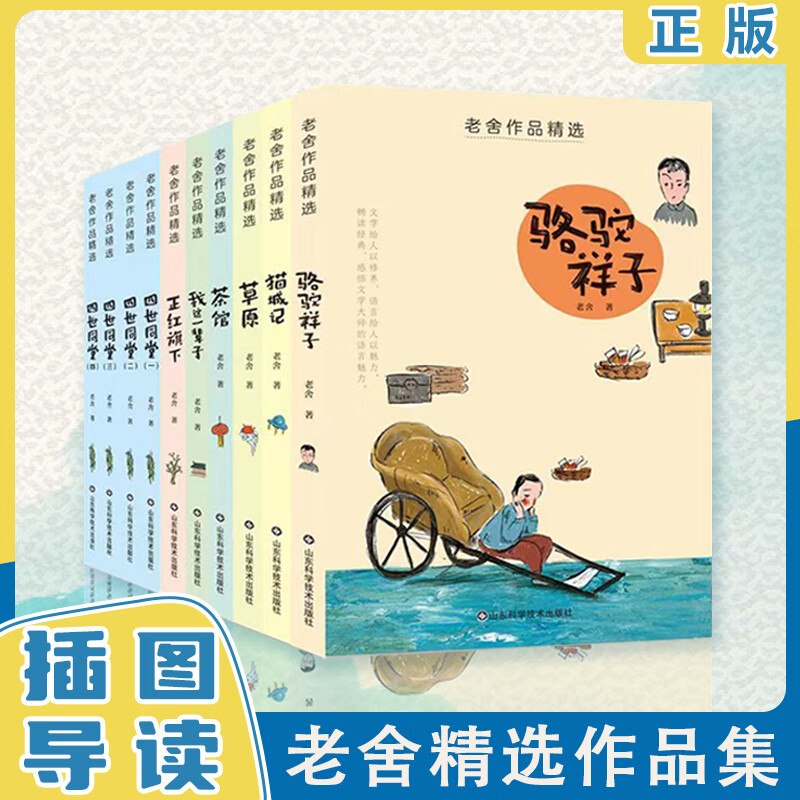 纽伯瑞国际文学大奖小说全套12册 三四五六年级老师推荐课外书必读经典读物中小学生儿童文学初一中学生青少 老舍经典作品集精选全10册