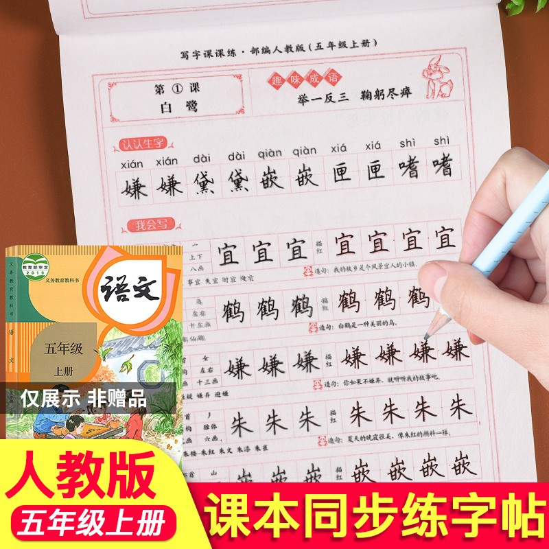 2023版五年级上册字帖部编人教版五年级上册语文同步练字帖人教版小学生写字课课练小学的生字抄写练习册部编版钢笔练字帖