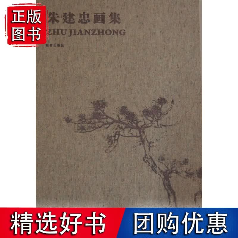 朱建中画集