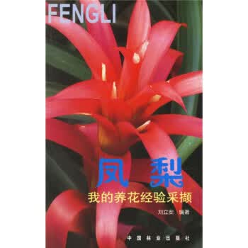 凤梨 刘立安