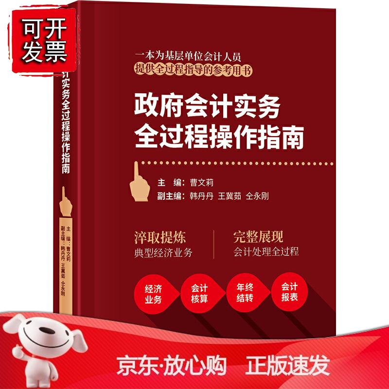 政府会计实务全过程操作指南
