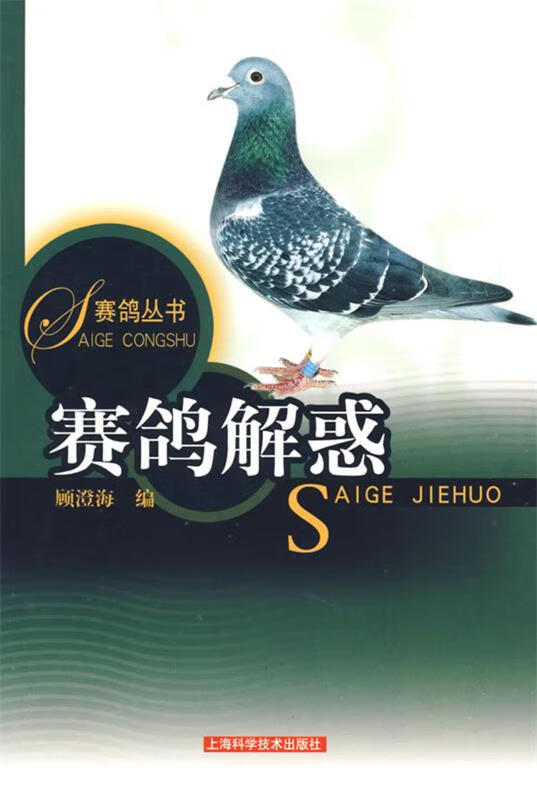 赛鸽解惑 顾澄海