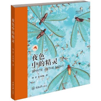 夜色中的精灵9787568914963