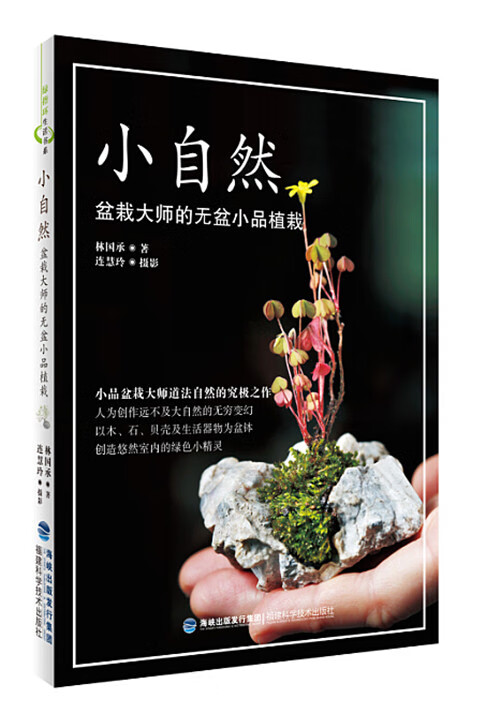 小自然——盆栽大师的无盆小品植栽