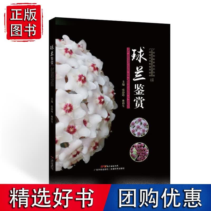 球兰鉴赏
